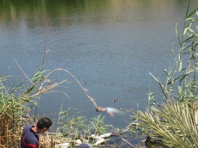 Les corps des 4 individus portés disparus, retrouvés à Kélibia ...