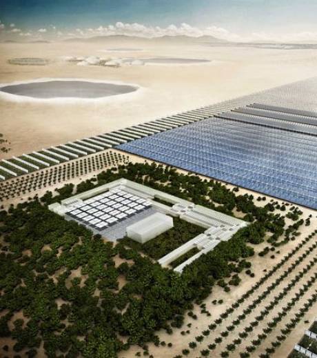 Sahara Forest Project: vert sera le Sahara tunisien - Réalités Online
