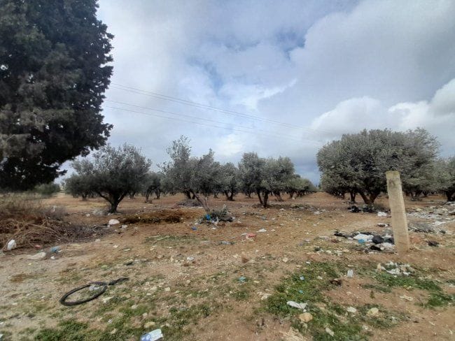 Domaines De Letat Récupération Denviron 46 Hectares à Ben Arous